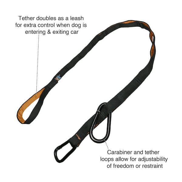Kurgo Auto Zip Line & Leash - Animal Lovers